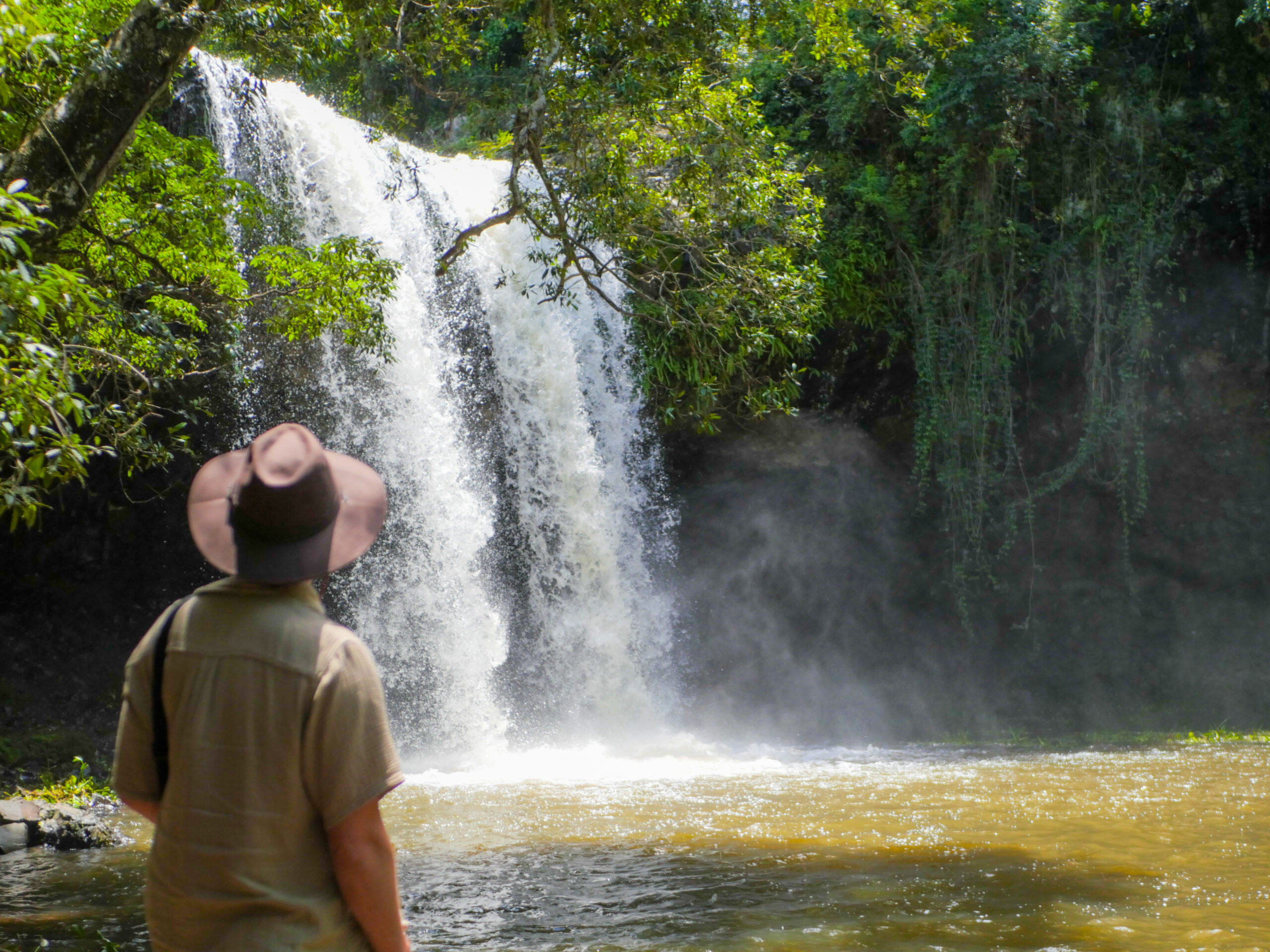 Killen Falls Byron Bay - Ultimate Visitors Guide (2026) - CJ Explores